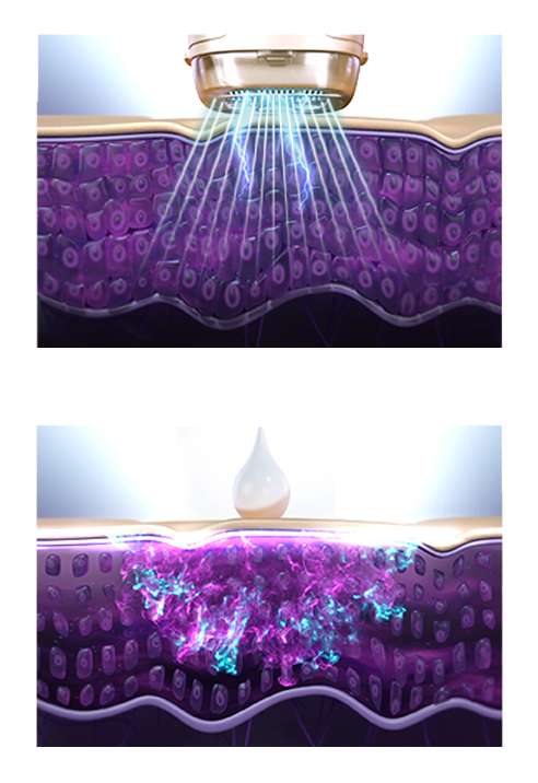 Silkro-new - Archon Aesthetics